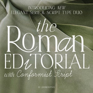 Roman Editorial and Aesthetic Script Font | Modern Font Pair | Modern ...
