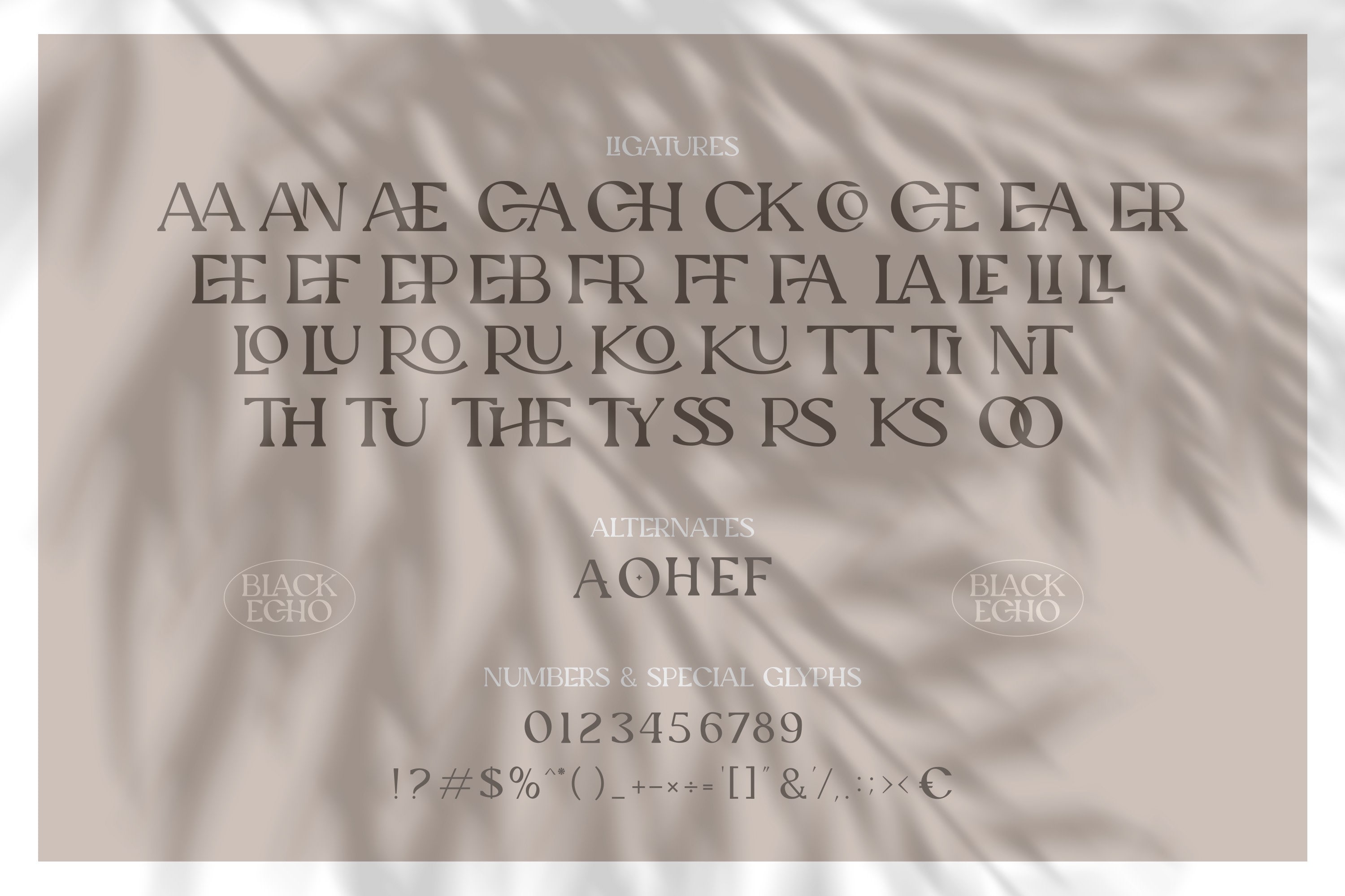 Black Echo Modern Ligature Font | Bold Serif Font | Branding & Logo ...