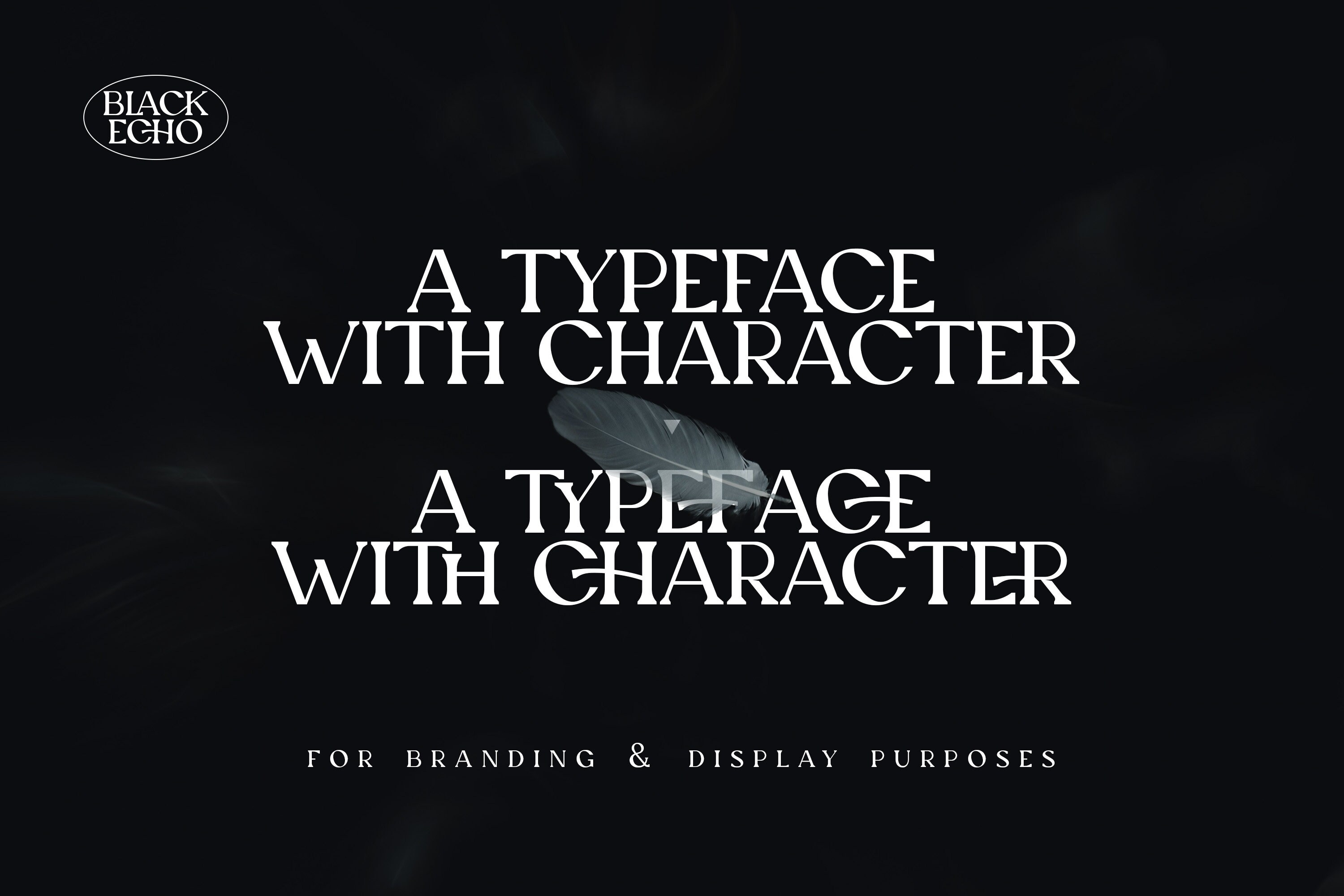 Black Echo Modern Ligature Font | Bold Serif Font | Branding & Logo ...