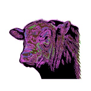 Angus Bull - Head - Vector Illustration - Etsy
