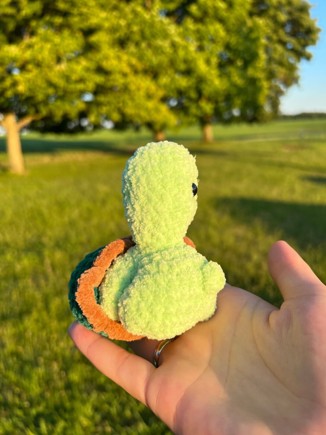 Cheeky Turtles - Etsy