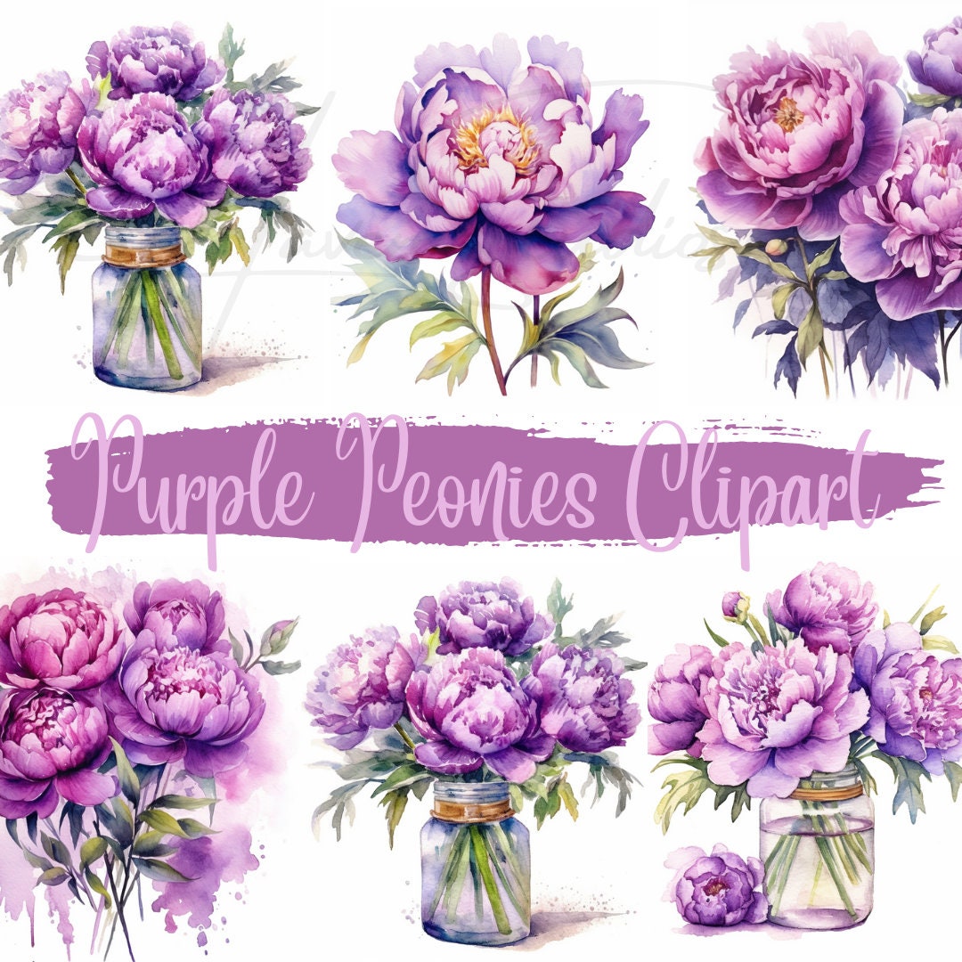 Watercolor Purple Peonies Clipart, Sublimation, Floral Bouquets, Purple ...