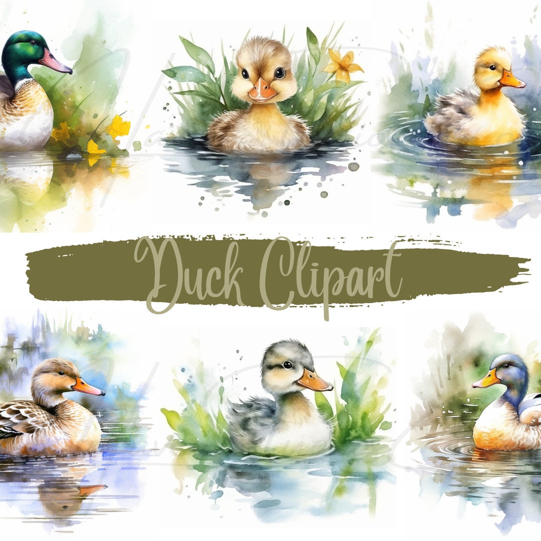 Watercolor Duck Clipart, Sublimation, Cute Ducklings, Duck in a Pond ...