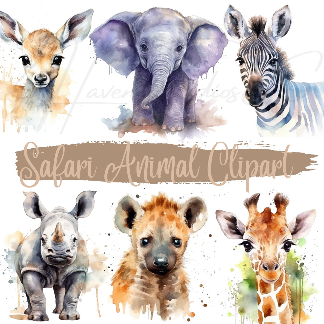Watercolor Safari Animal Clipart, Sublimation, Cute Animals, Animal PNG ...