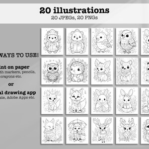 Fall Coloring Pages: Woodland Animals Adult/kids Coloring Book for ...