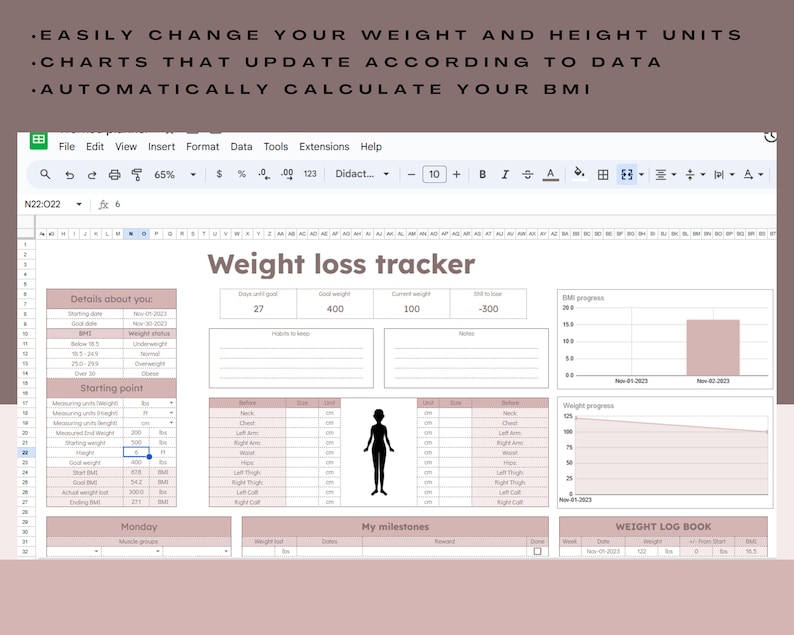 Weight Loss Tracker, Workout Planner, Google Sheets Fitness Planner ...
