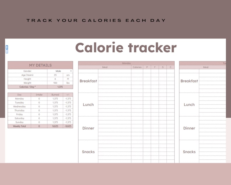 Weight Loss Tracker, Workout Planner, Google Sheets Fitness Planner ...