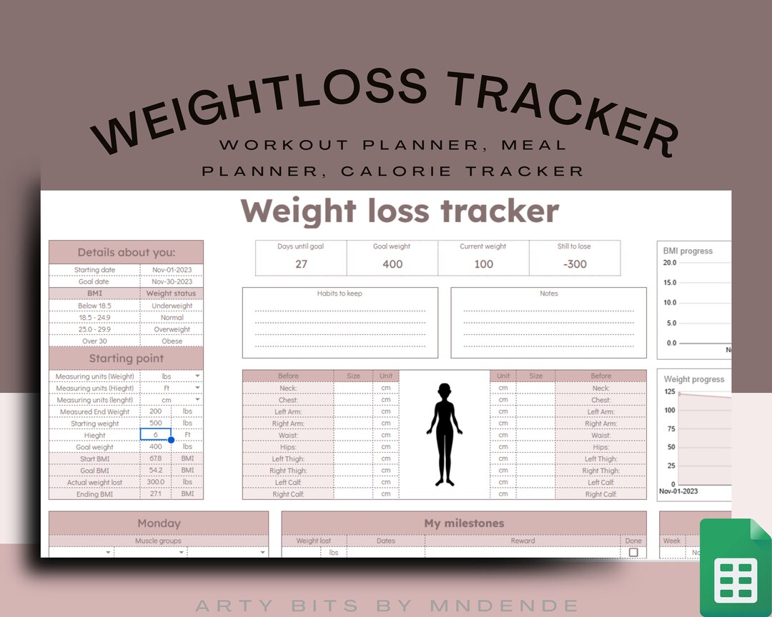 Weight Loss Tracker, Workout Planner, Google Sheets Fitness Planner ...