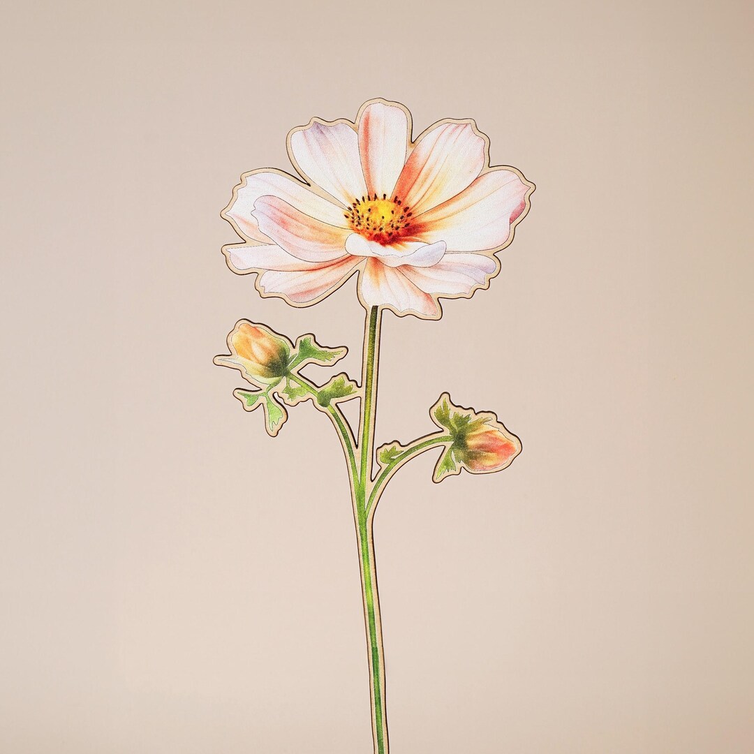 Wooden Cosmos - Birth Month Flower, June Birth Flower, Personalized ...