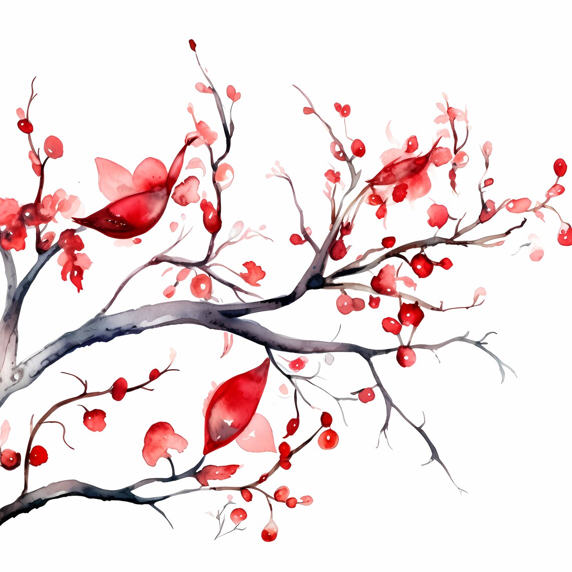 Watercolor Red Floral Clipart 50 Images PNG Bundle, Wedding Clipart ...