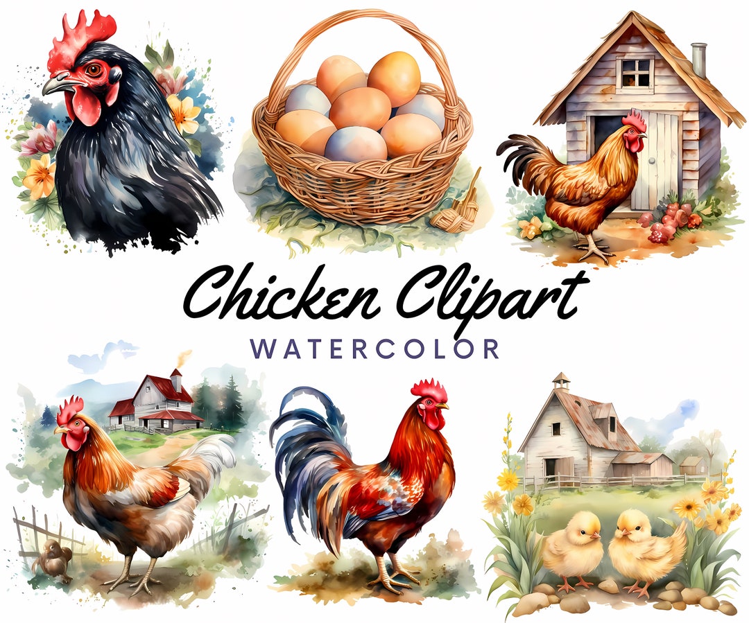 64 Watercolor Chicken Clipart PNG Bundle, Cute Roosters Chickens and ...