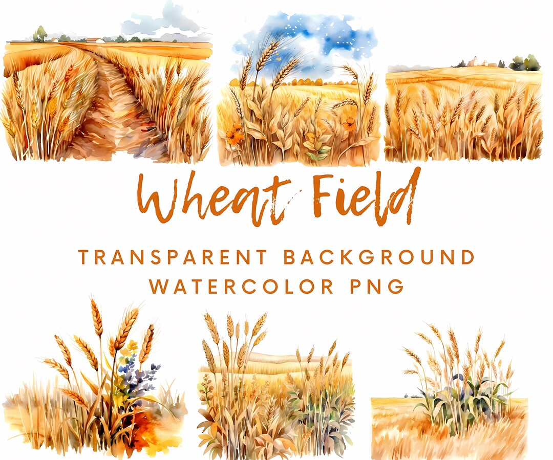 Watercolor Wheat Fields Clipart PNG Bundle, Watercolor Summer Wheat ...