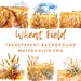 Watercolor Wheat Fields Clipart PNG Bundle, Watercolor Summer Wheat ...