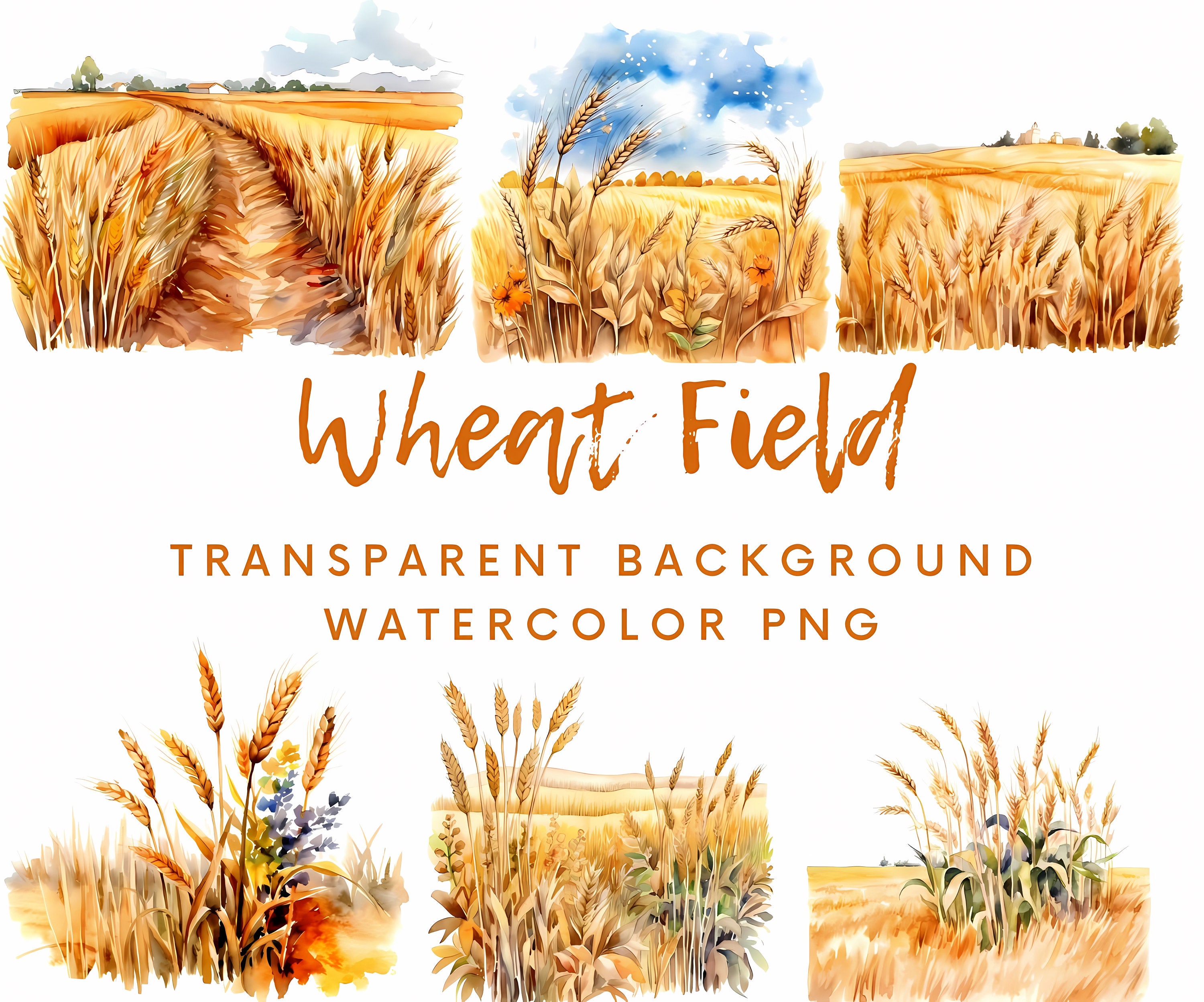 Wheat Field Clipart Png