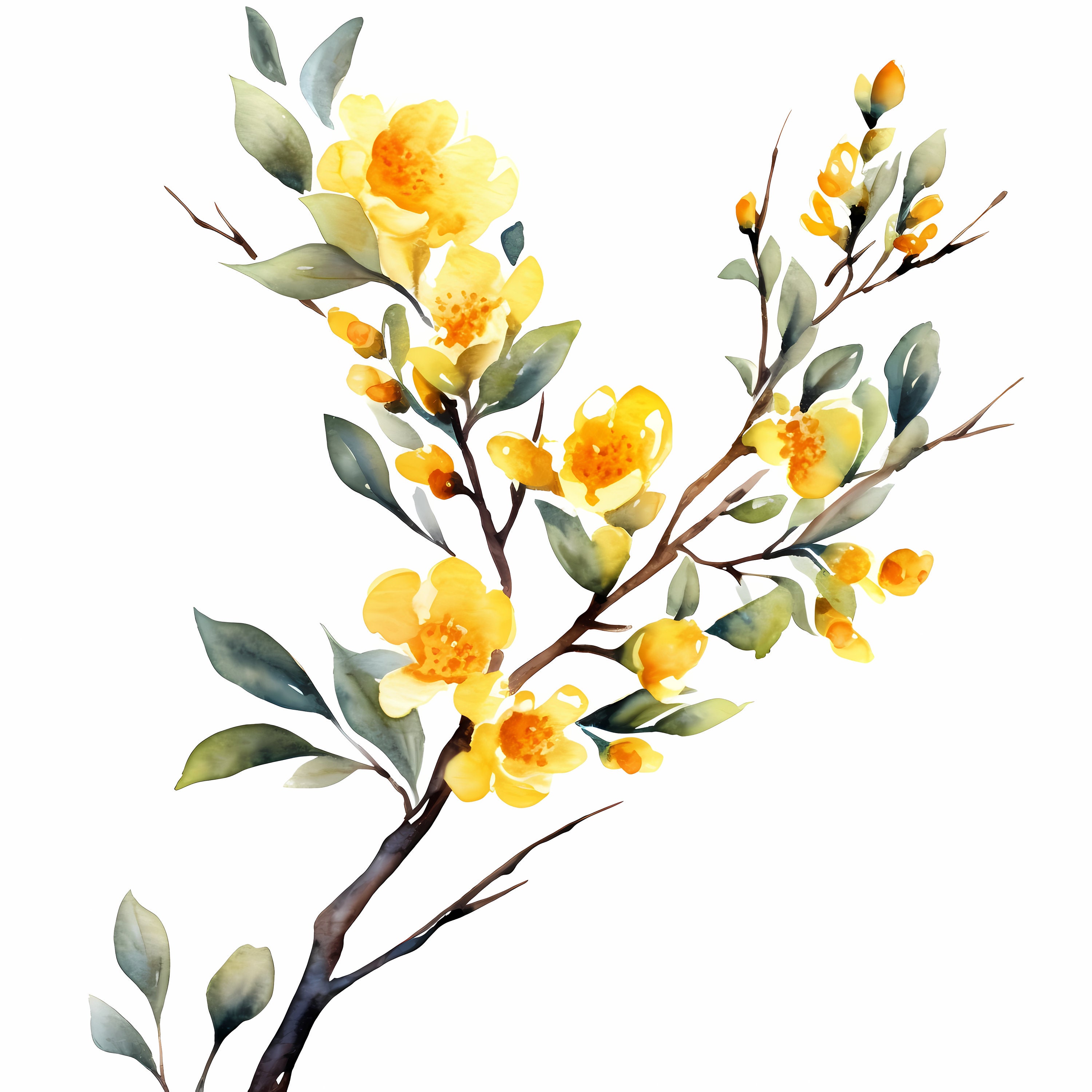 Watercolor Yellow Floral Clipart 50+ PNG Bundle, Wedding Clipart ...