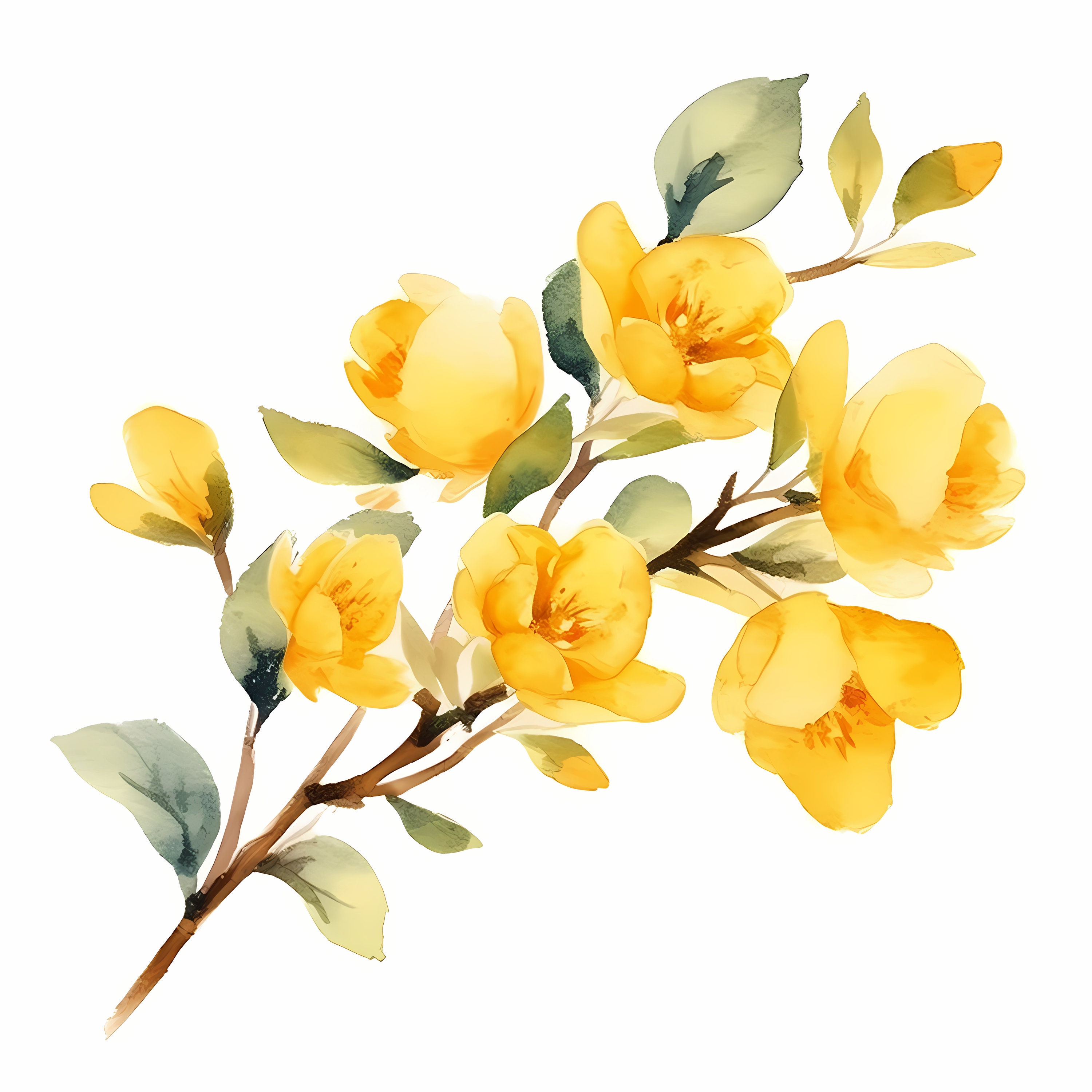Watercolor Yellow Floral Clipart 50 PNG Bundle Wedding - Etsy