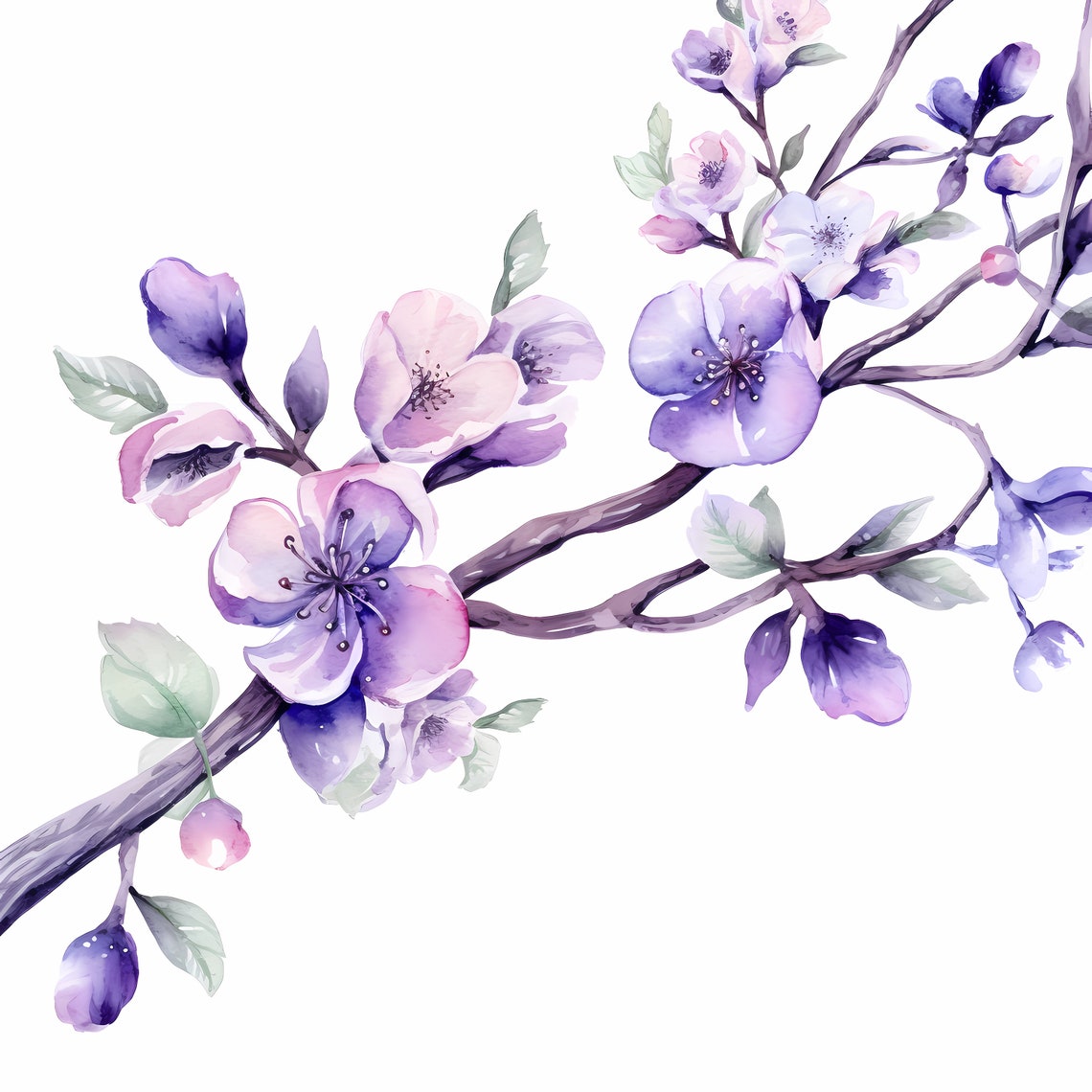 Watercolor Violet Floral Clipart 50 PNG Bundle, Wedding Clipart ...