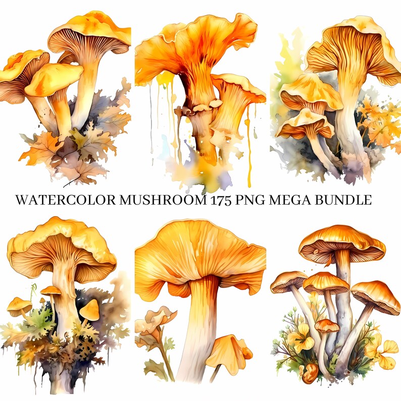 Watercolor Mushrooms Clipart 175 Mega Bundle, Forest Art Cute Nature ...