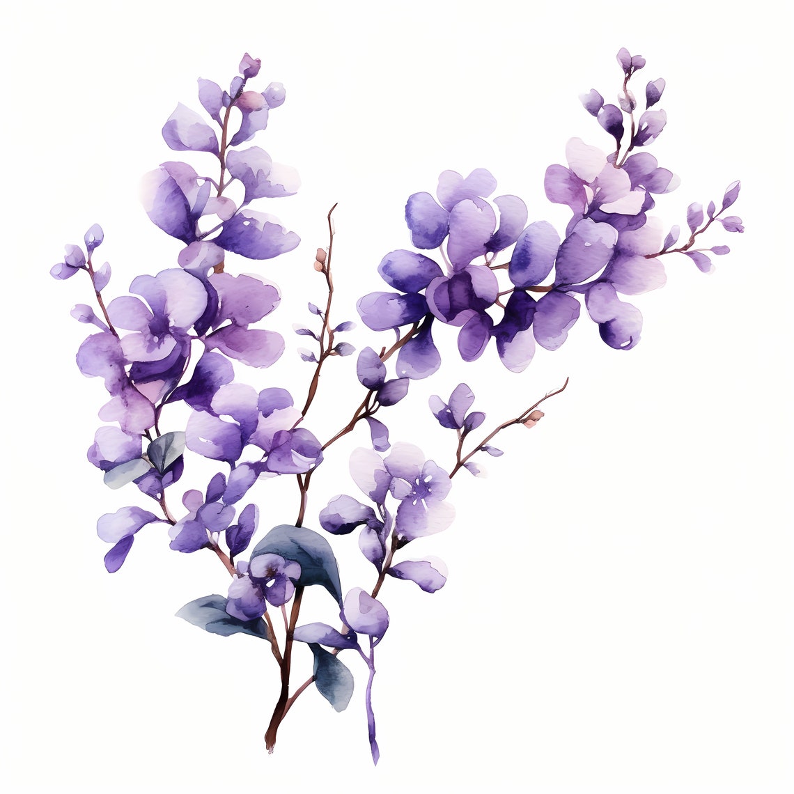 Watercolor Violet Floral Clipart 50 PNG Bundle Wedding - Etsy