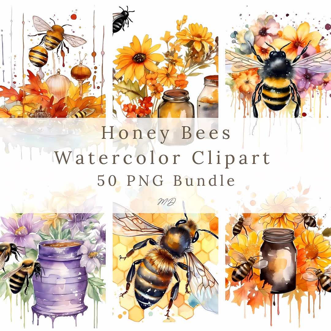 Watercolor Honey Bee Clipart 50 PNG Bundle, Garden Bee and Honey Drips ...