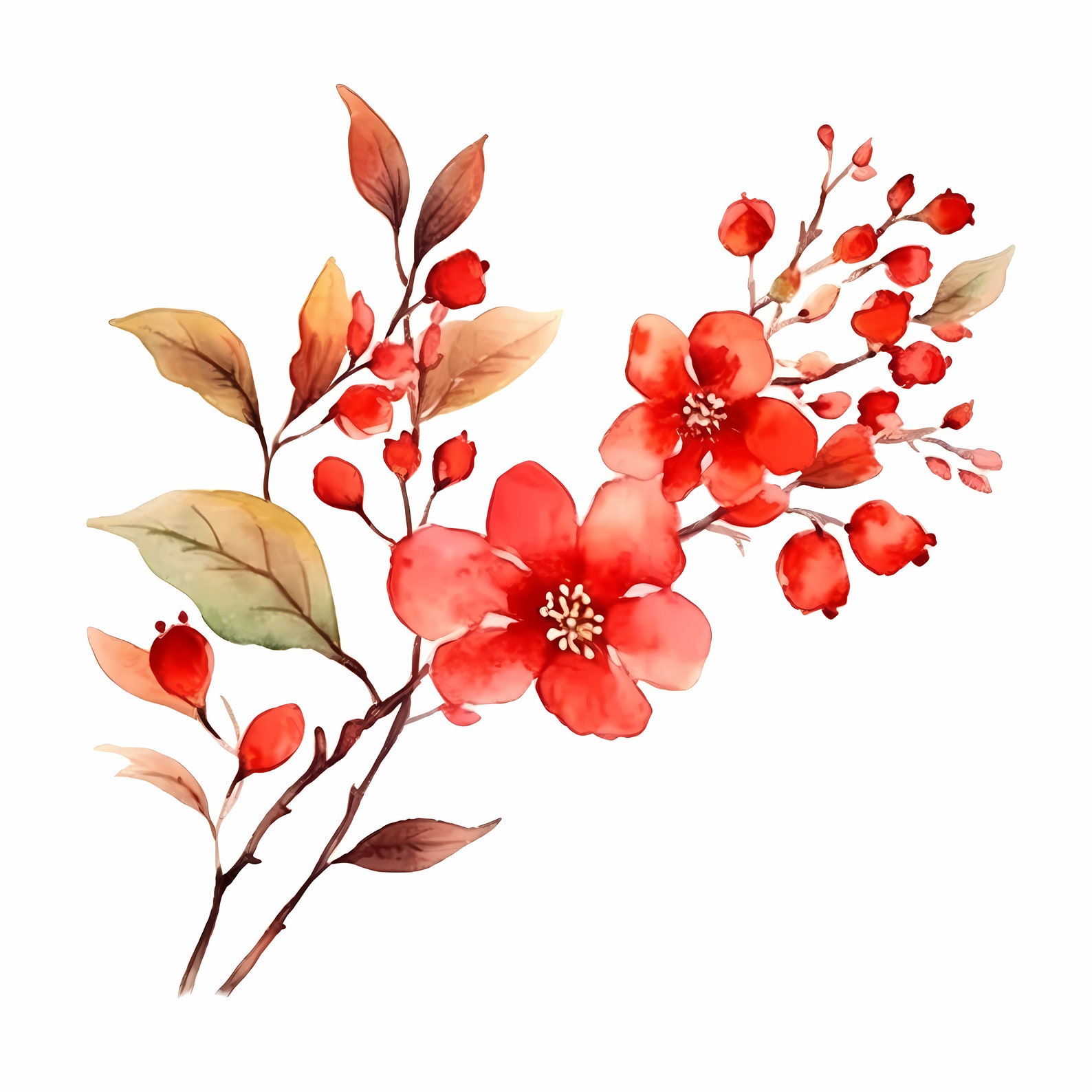 Watercolor Red Floral Clipart 50 Images PNG Bundle, Wedding Clipart ...
