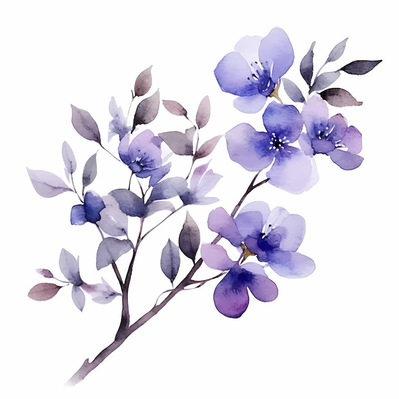 Watercolor Violet Floral Clipart 50+ PNG Bundle, Wedding Clipart ...