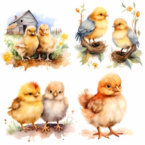 64 Watercolor Chicken Clipart PNG Bundle, Cute Roosters Chickens and ...