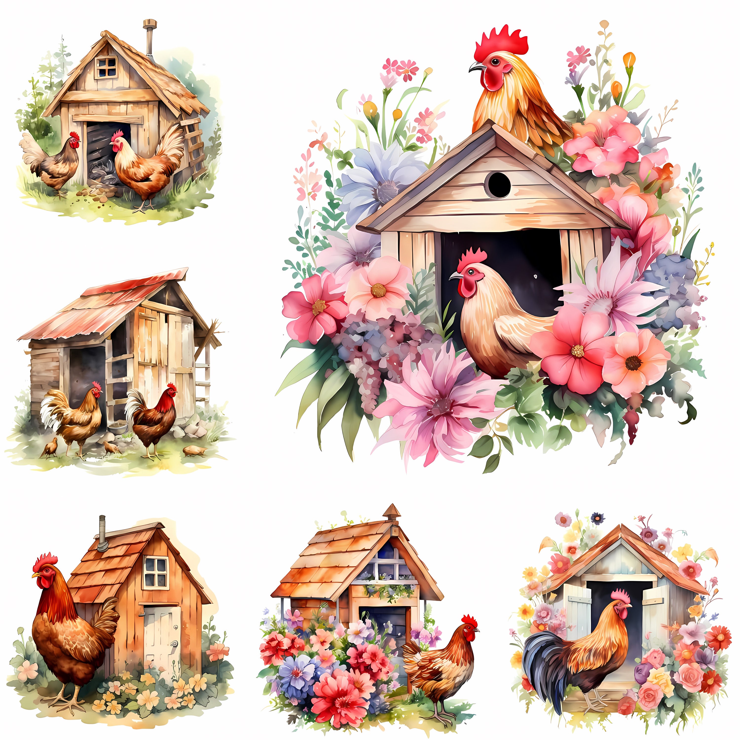 64 Watercolor Chicken Clipart PNG Bundle, Cute Roosters Chickens and ...