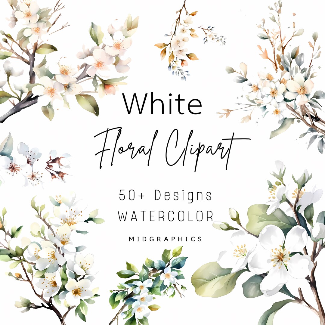 Watercolor White Floral Clipart 50+ PNG Bundle, Wedding Clipart ...