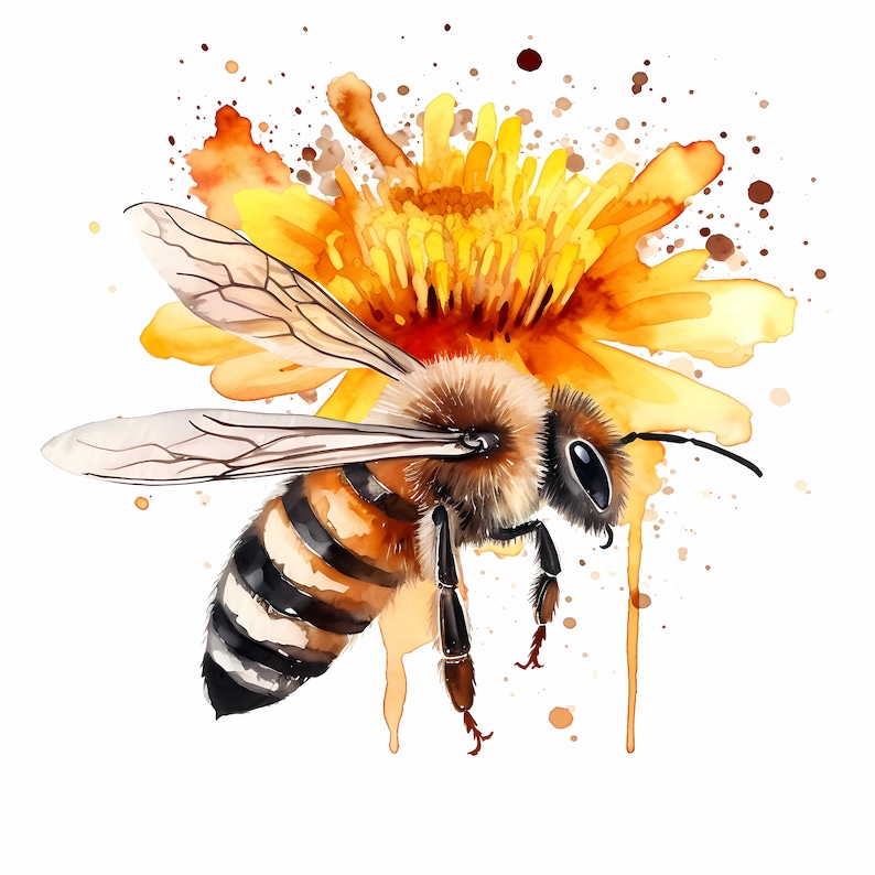 Watercolor Honey Bee Clipart 50 PNG Bundle, Garden Bee and Honey Drips ...