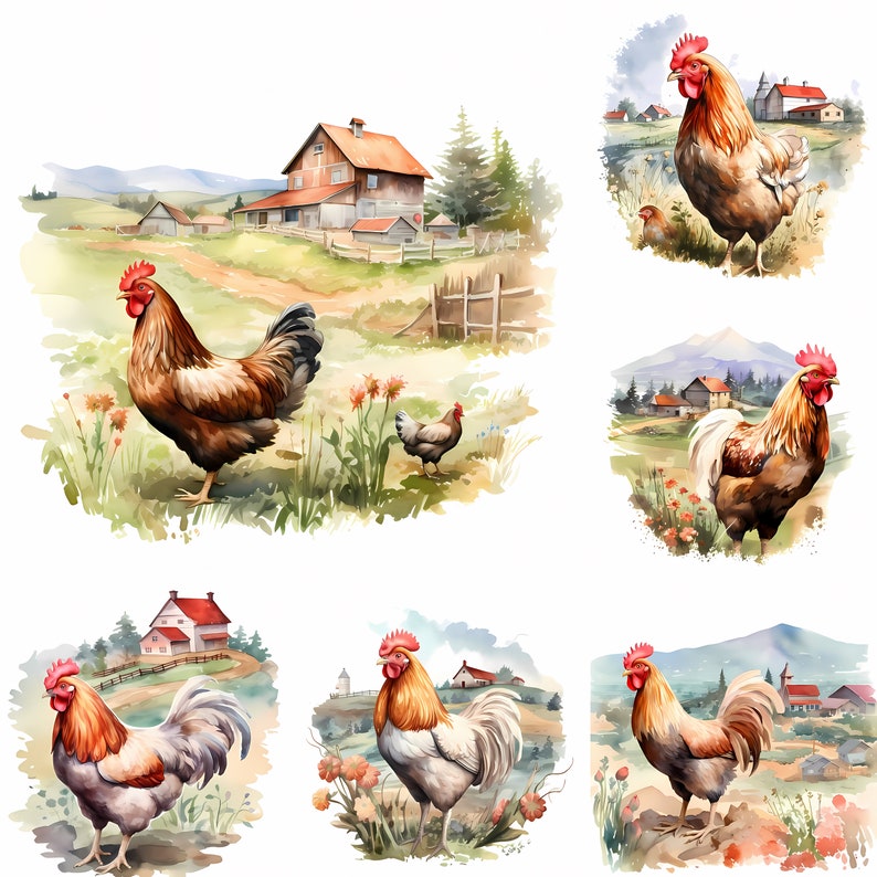 64 Watercolor Chicken Clipart PNG Bundle, Cute Roosters Chickens and ...