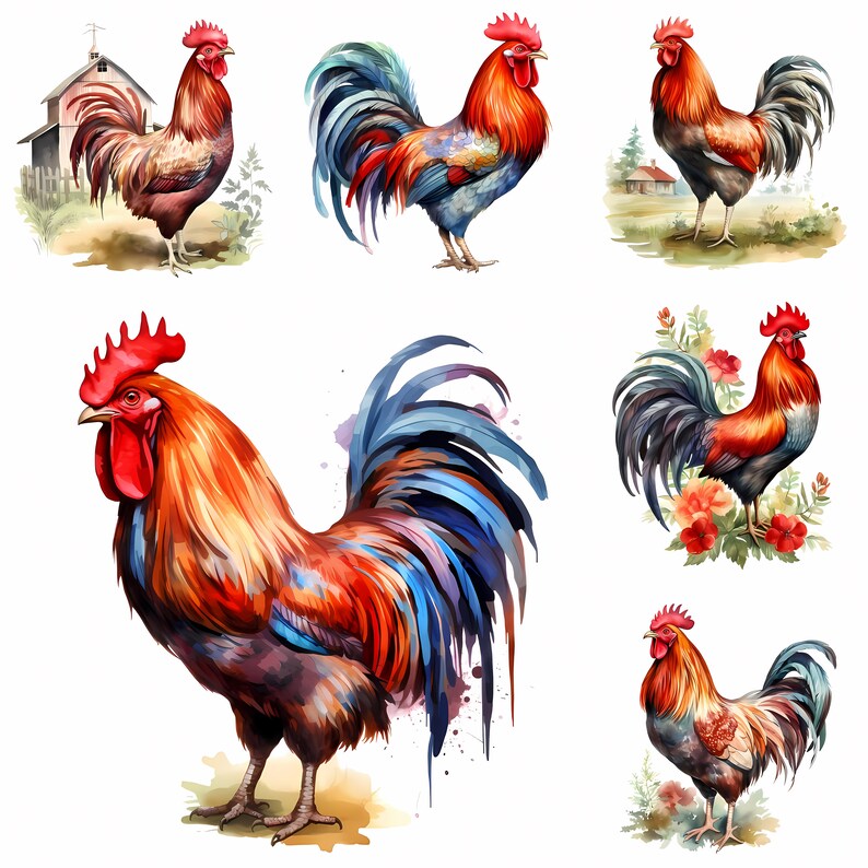 64 Watercolor Chicken Clipart PNG Bundle, Cute Roosters Chickens and ...