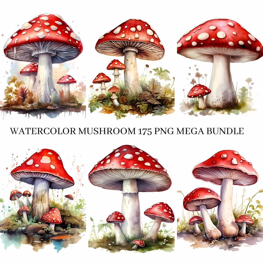 Watercolor Mushrooms Clipart 175 Mega Bundle, Forest Art Cute Nature ...