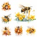 Watercolor Honey Bee Clipart 50 PNG Bundle, Garden Bee and Honey Drips ...