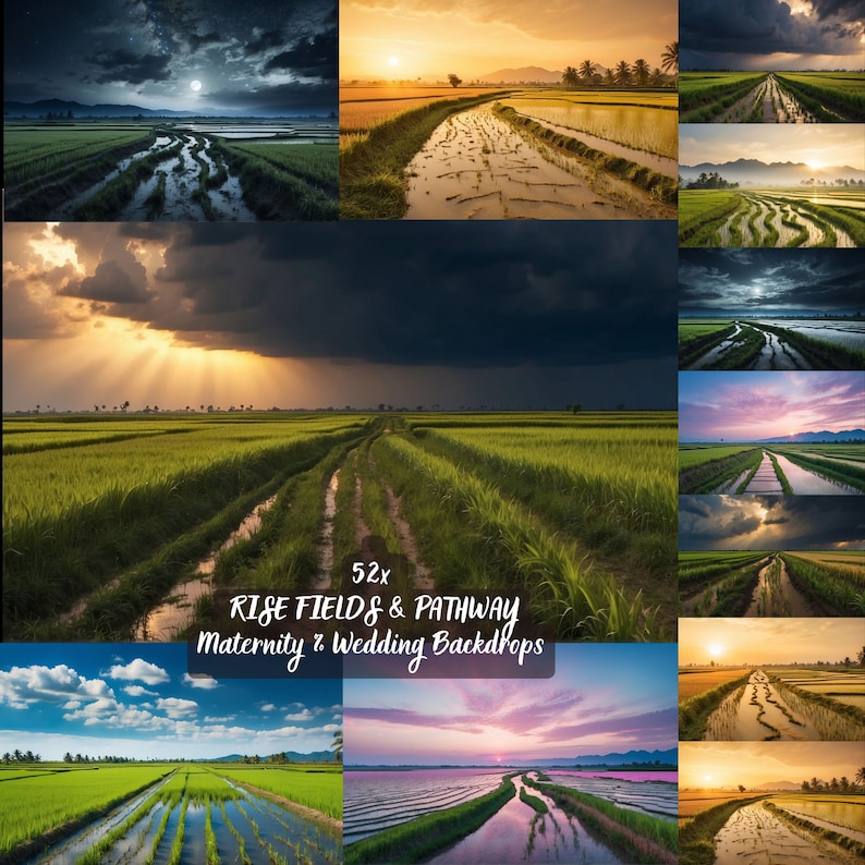 Rise Fields Wedding Maternity Backdrop Photography Background Portrait ...