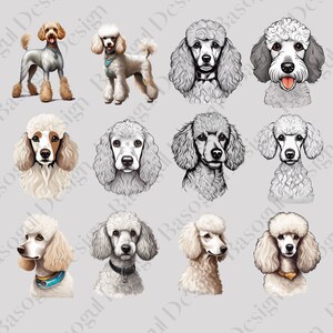 Poodle Clipart Png Dog Clipart Printable Poodle Head Transparent ...