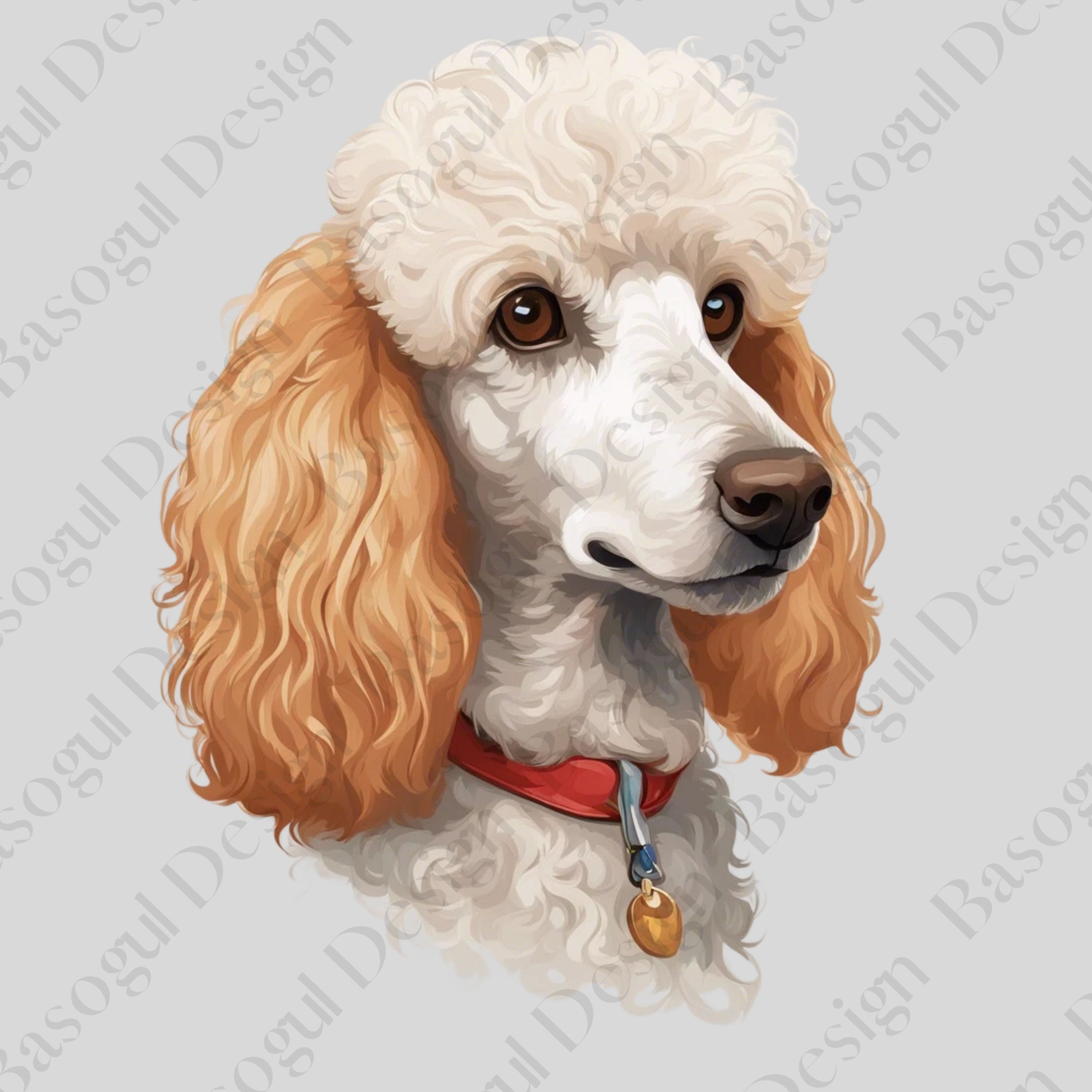 Poodle Clipart Png Dog Clipart Printable Poodle Head Transparent ...