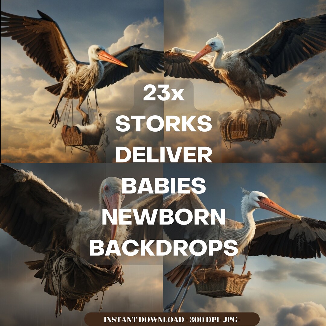 Stork Newborn Digital Backdrop: newborn DIGITAL Backdrop Stork Newborn ...