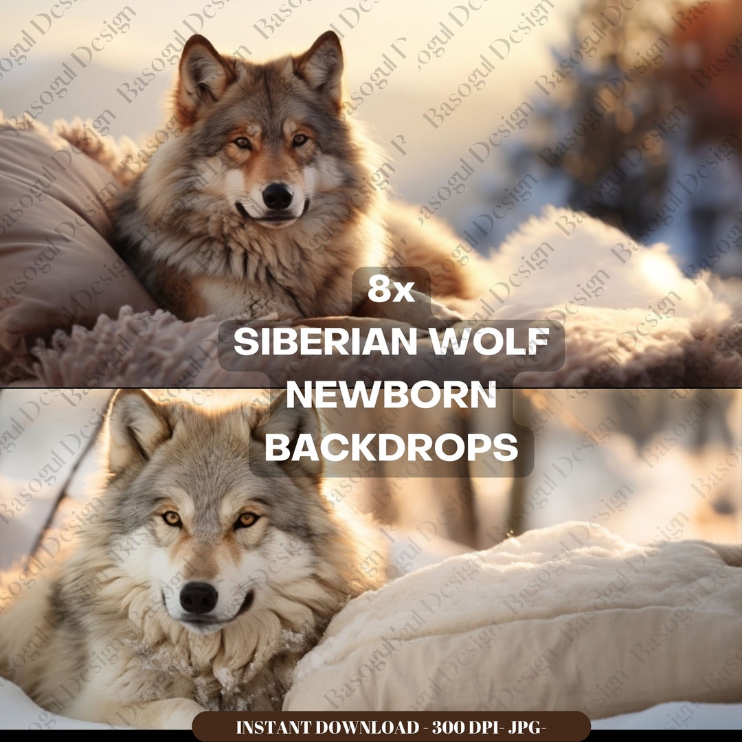 Wolf Newborn Digital Backdrop, Wolf Newborn Prop, Baby Girl Boy ...