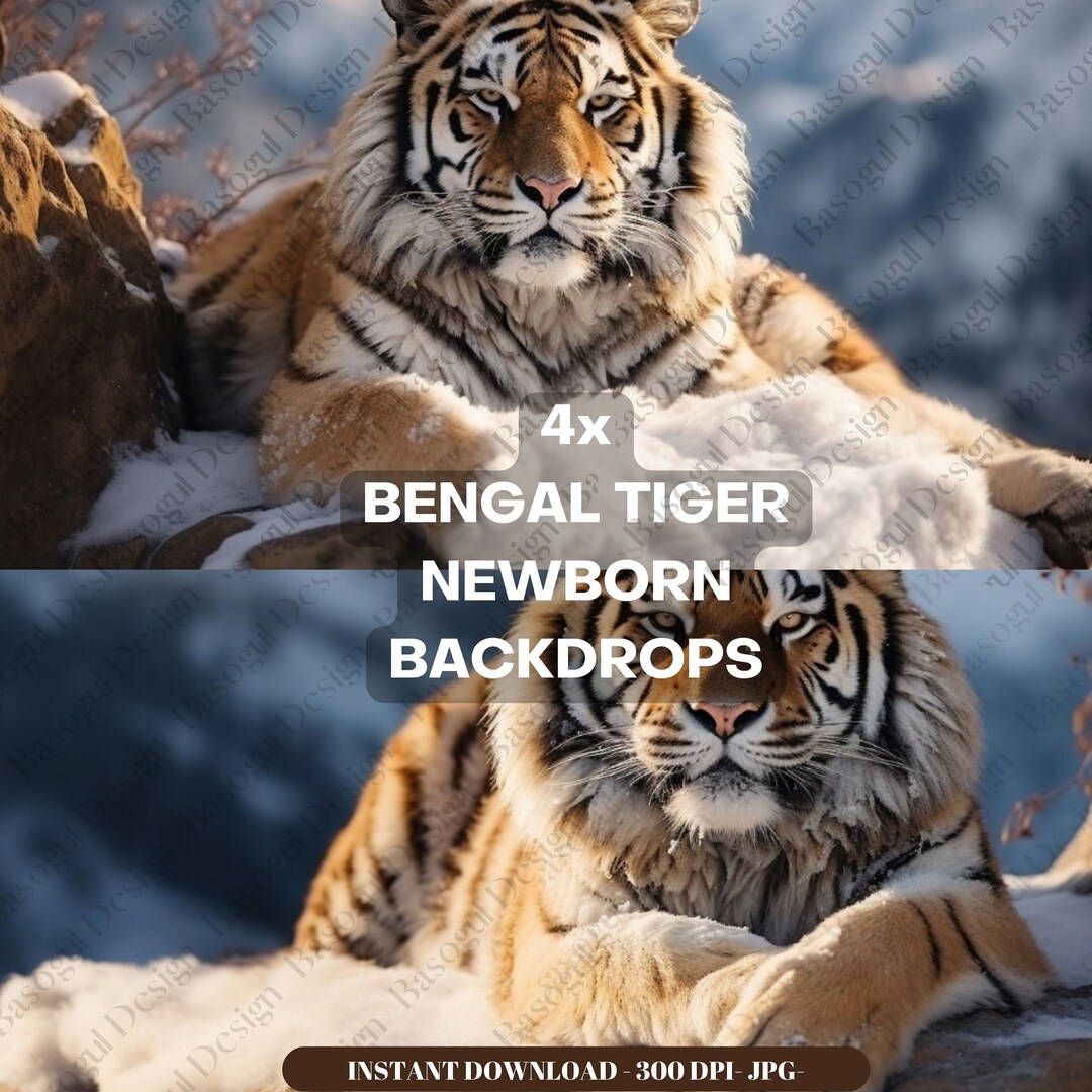 Tiger Newborn Digital Backdrop, Tiger Newborn Prop, Newborn Baby Photo ...