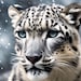 Snow Leopard Photography Stock Photos Cinematic Wildlife - Etsy