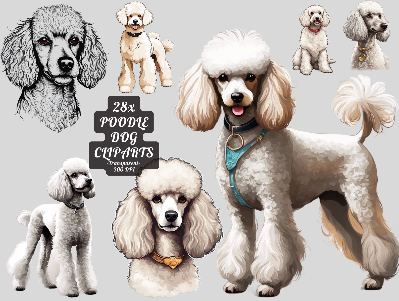 Poodle Clipart Png Dog Clipart Printable Poodle Head Transparent ...