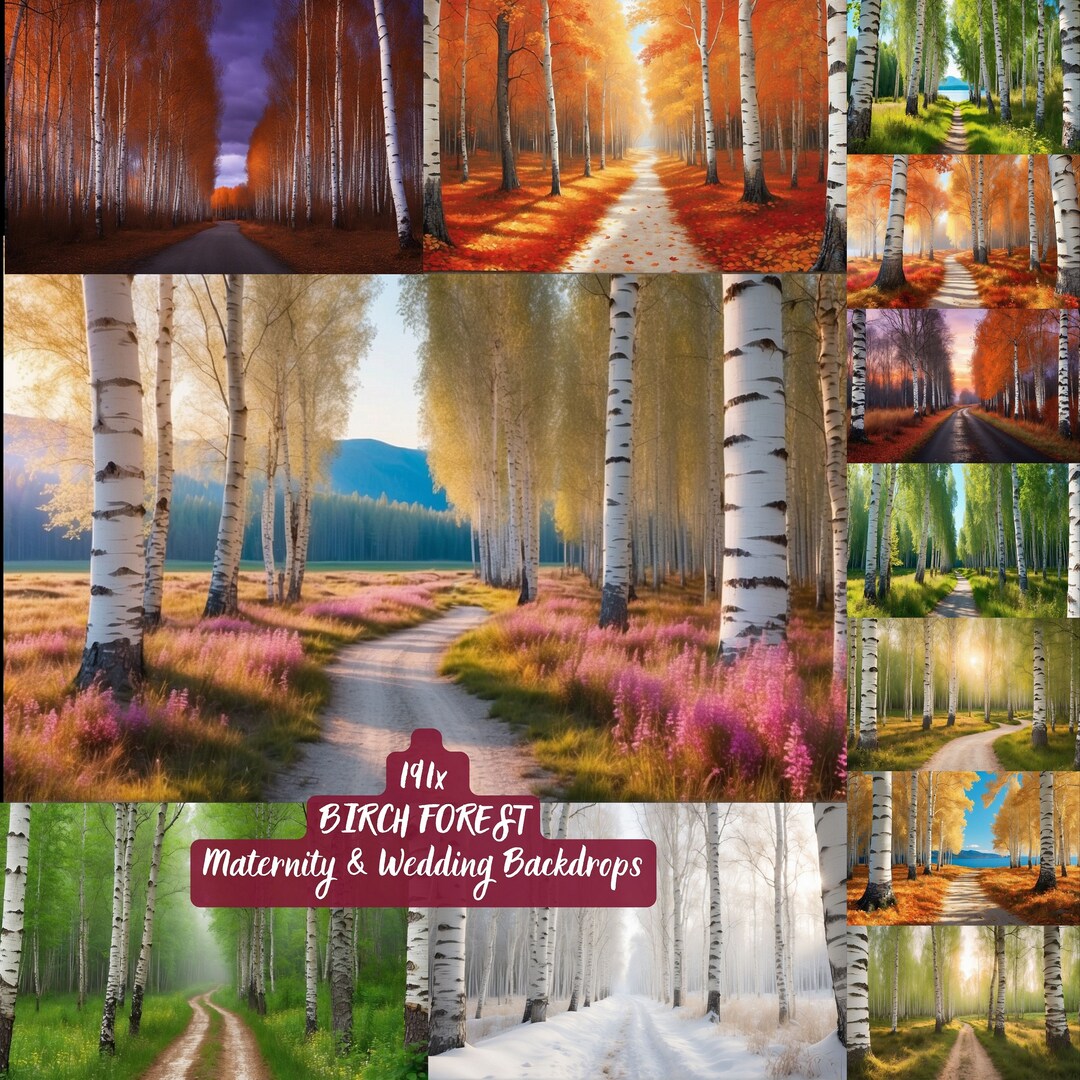 Birch Forest Wedding Maternity Backdrop Photography Background Portrait ...