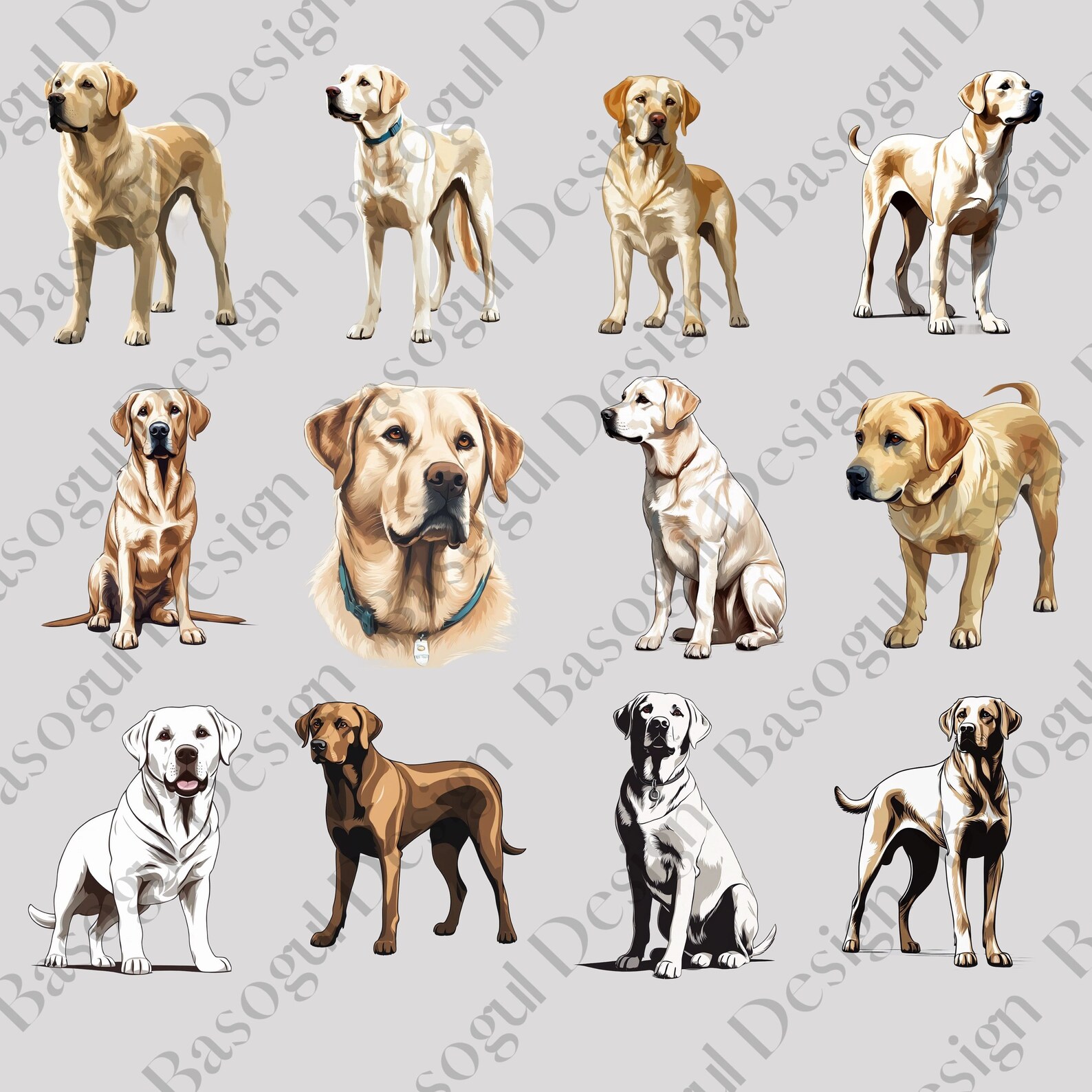 Labrador Retriever Clipart Png Dog Clipart Printable Labrador Retriever ...