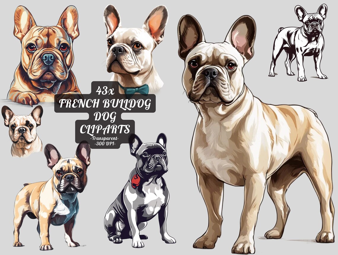 French Bulldog Clipart Png Dog Clipart Printable French - Etsy