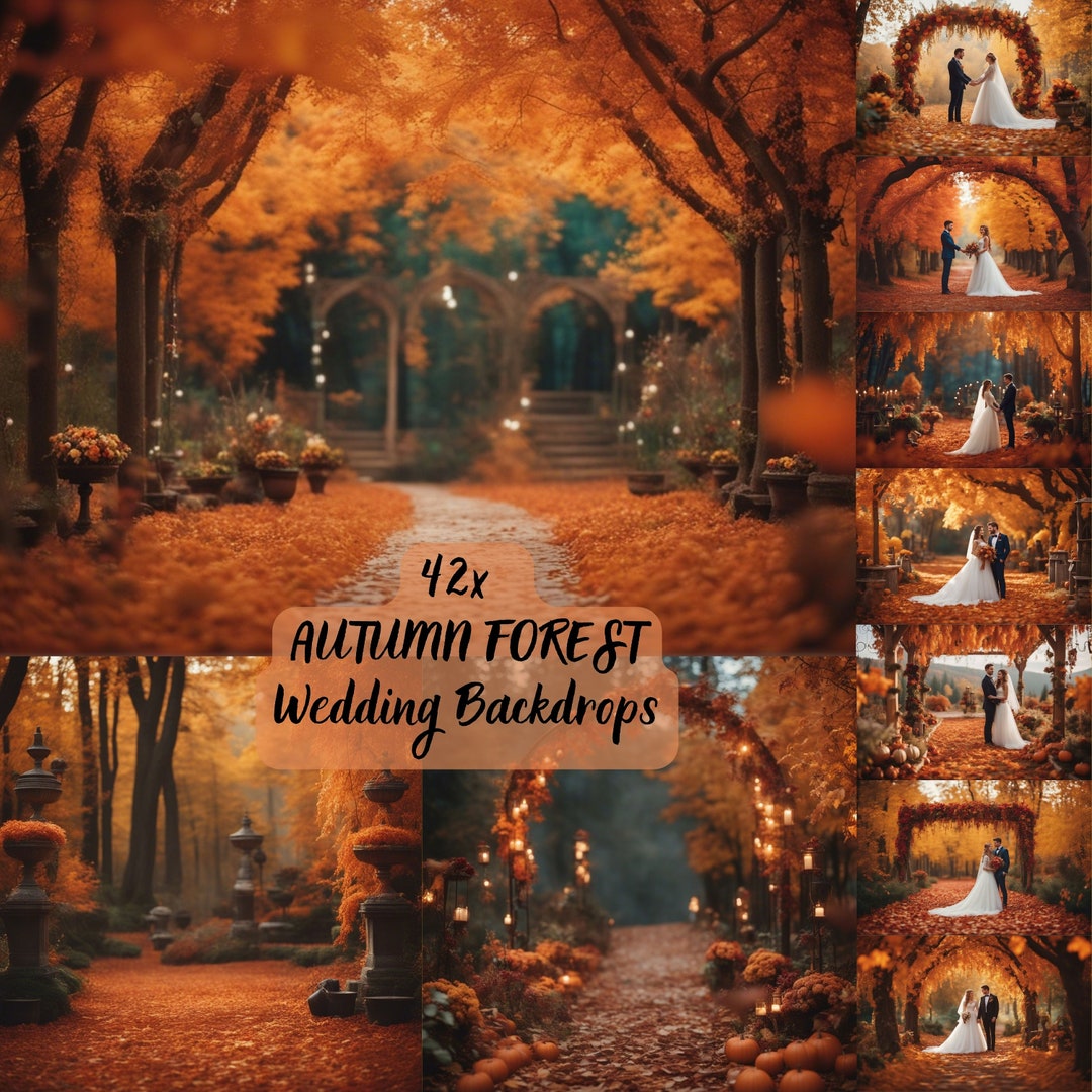 Autumn Wedding Backdrop Photography Background Fall Leaves Ceremony ...