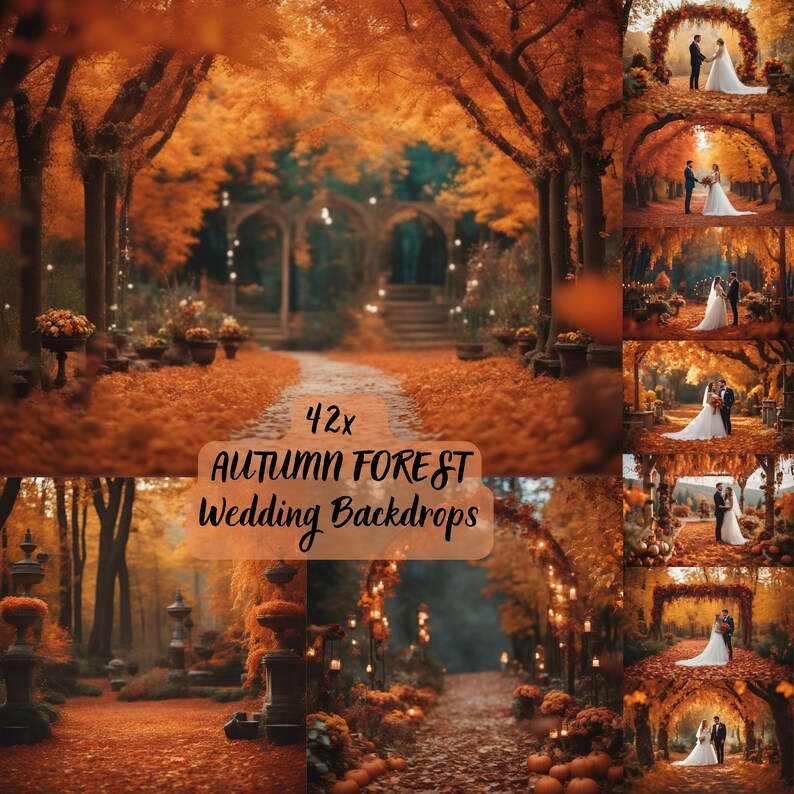 Autumn Wedding Backdrop Photography Background Fall Leaves Ceremony ...