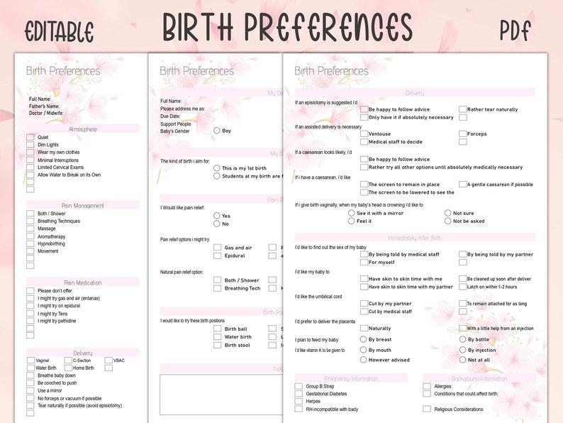 Comprehensive Editable Birth Plan Template, Editable Birth Plan ...
