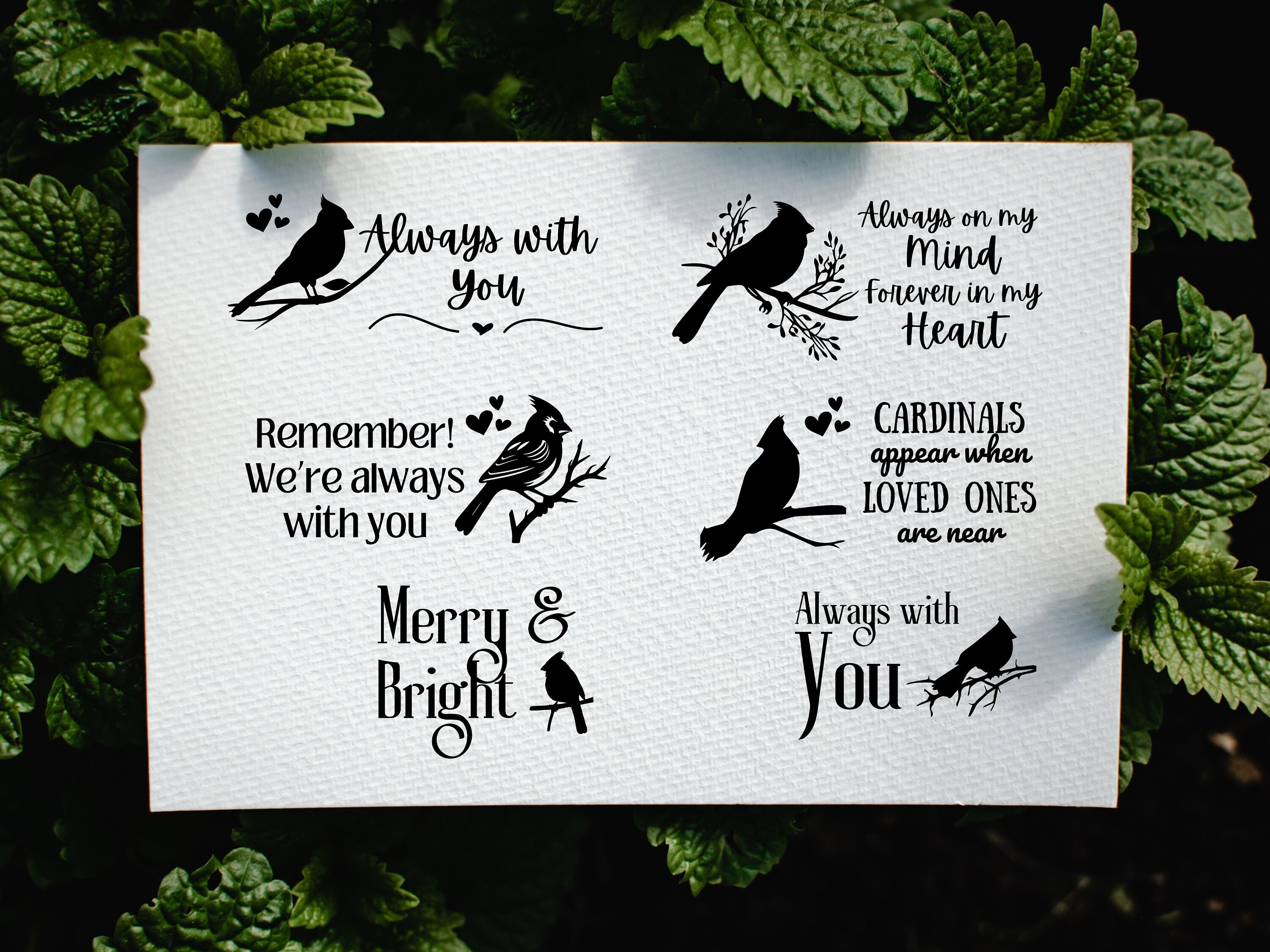 Cardinal Memorial SVG, Memorial SVG, Cardinal SVG, Red Cardinal Heart ...