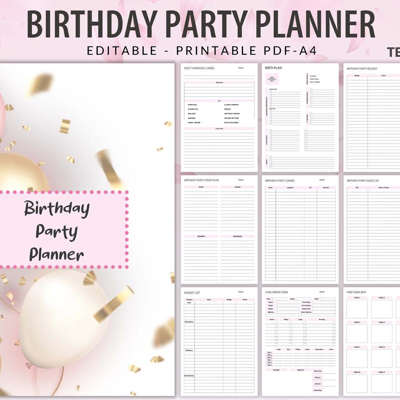Birthday Party Plan - Etsy